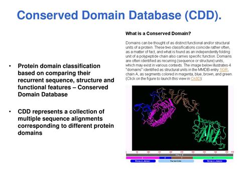 Ppt Pairwise Sequence Alignments Powerpoint Presentation Free Download Id4775631