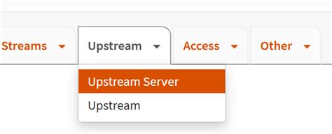 Opnsense Nginx Reverse Proxy For Your Homelab