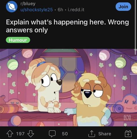 Bluey Server Being Weird R Brodylovesblueyfrfrfr