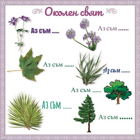 Околен свят 1 клас Worksheet Live Worksheets