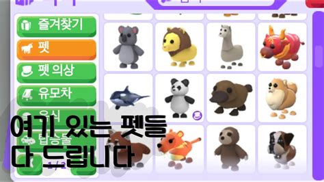 무능 초희귀 펫 나눔 2탄이벤트로블록스 입양하세요 Youtube