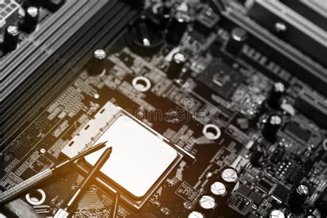 Computer Repair Motherboard Processor And Screwdriver Close Up Stock