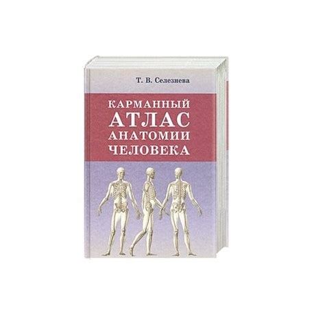 Карманный атлас анатомии человека
