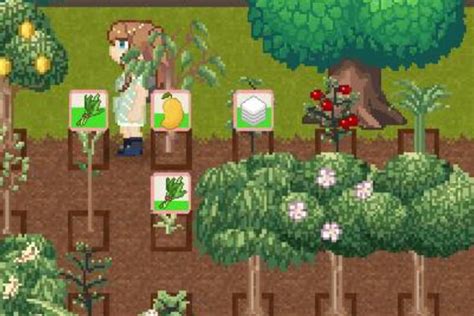 Cara Mendapatkan Kapas Di Cisini Stories Panduan Lengkap Untuk Pemula