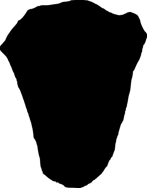 R Pca Of Tool Outlines Stack Overflow