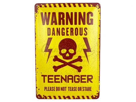 Plechová Cedule Warning Dangerous Teenager 20 X 30 Cm Garážovka Cz