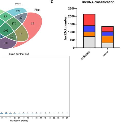 Venn Diagrams Exon Numbers And Classification Of Candidate Long