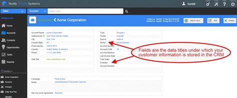 Crm Custom Fields