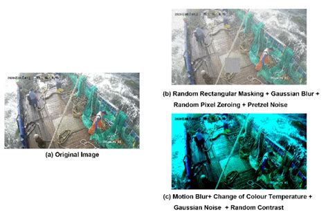 Data Enhancement Samples Download Scientific Diagram