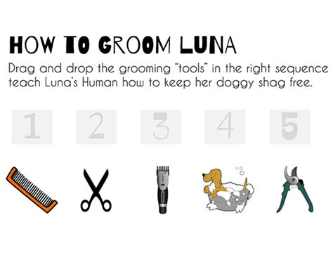 Storyline Process Interaction Quiz Articulate Community