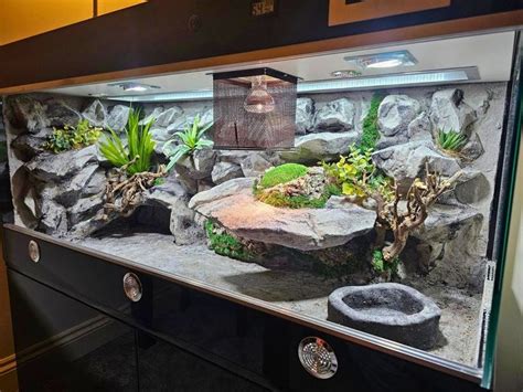 Ball Python Enclosure