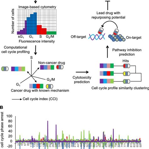 Computational Cell Cycle Profiling And 3d Chemical Clustering For Download Scientific Diagram
