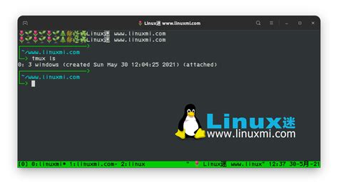Linux 终端复用神器 Tmux 使用详解 Linux迷 Linux 终端复用神器 Tmux 使用详解 Linux迷