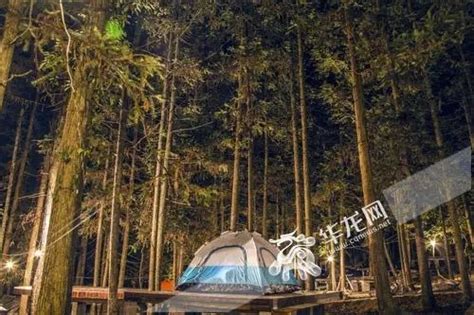 建设旅游环线融合特色资源，彭水景区提档升级！