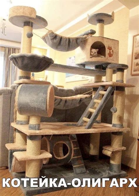 дом для кота своими руками 3 тыс изображений найдено в Яндекс Картинках Katzen Haus