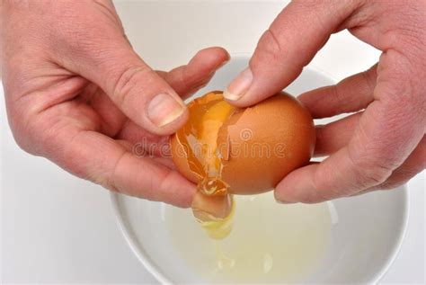 Open Organic Egg To Separate Egg Yolk Stock Image Image Of Fine Freshness