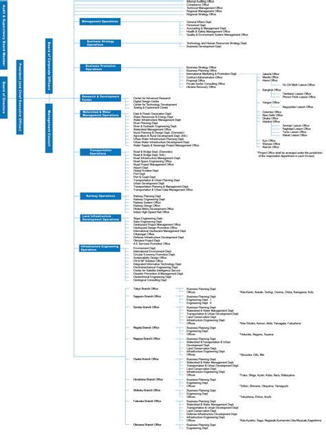 Organization Chart Corporate Profile Nippon Koei