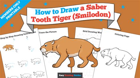 How To Draw A Saber Tooth Tiger Step By Step