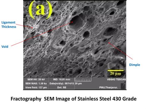 Drrn Microstructure And Sem Imagespptx