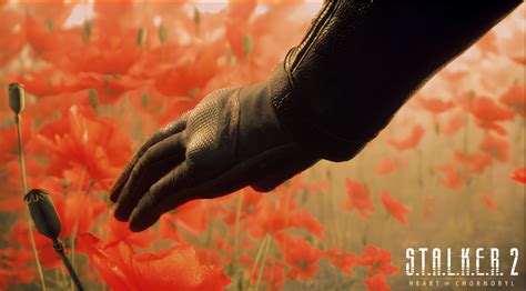 Макове Поле Stalker News