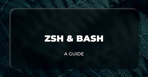 Zsh And Bash Refine