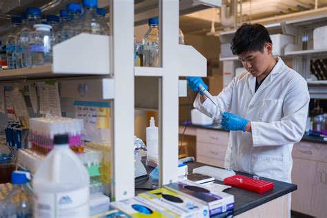 Bioengineering Major B S Chemical Engineering And Bioengineering