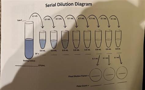 Serial Dilution Diagram