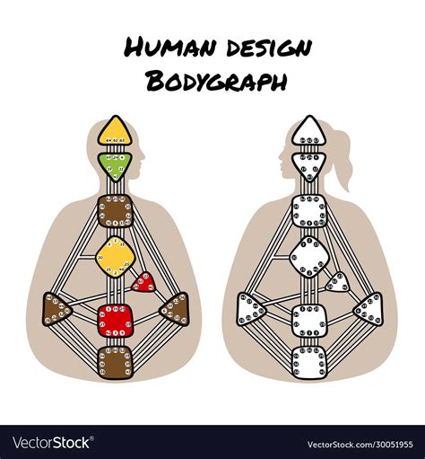 Human Design Bodygraph Chart Nine Energy Vector Image