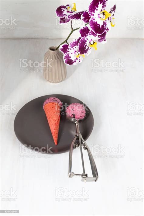 흰색 배경에 냉동 블루 베리와 회색 접시에 숟가락에 원뿔과 공에 블랙 베리 아이스크림 오키 꽃 화병 0명에 대한 스톡 사진 및 기타 이미지 Istock