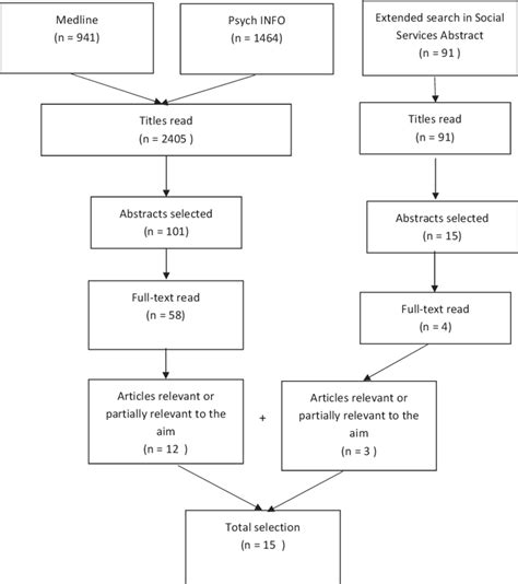 Process Chart Showing Searches In Databases Download Scientific Diagram