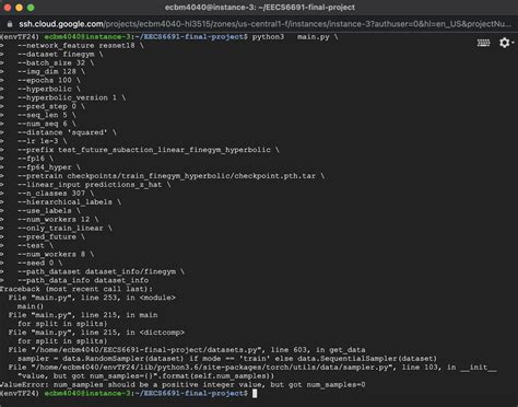 question for the finegym dataset when testing model · issue 2 · cvlab