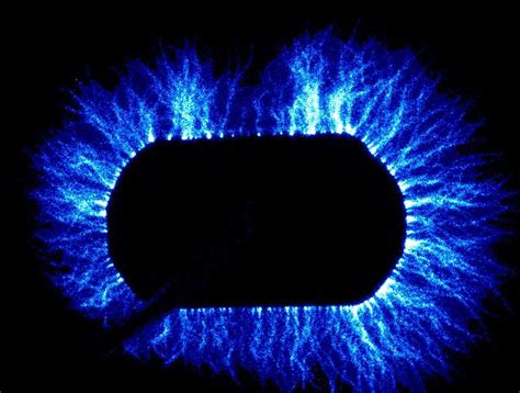 General View Of The Surface Dbd For A Positive Applied Voltage 10 Kv Download Scientific