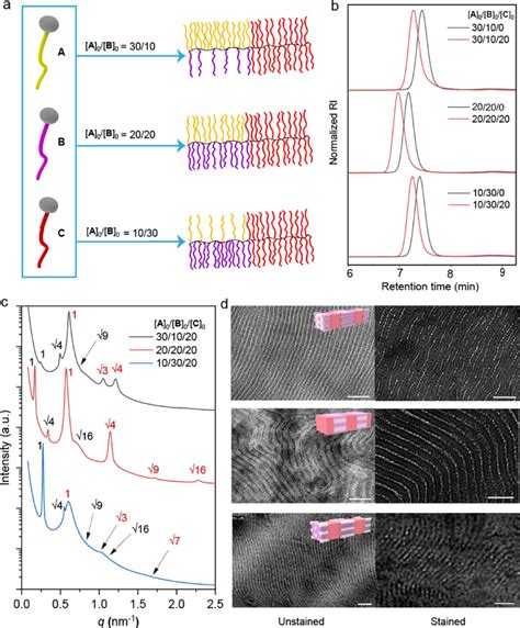 Synthesis Of [ Pdms 9 X Ran Pla 34 Y ] B Ps 26 Z Mgbcps A Download Scientific