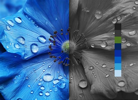 Intro To Print Quality Optimization