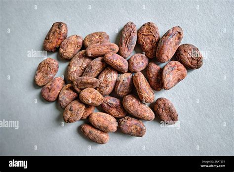 Close Up Image Of A Pile Of Dry Cocoa Beans Seeds Of The Cacao Tree On A Rough Paper