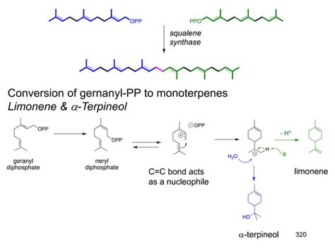 Fatty Acid Metabolismoxidation Catabolismppt