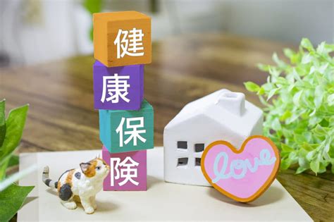 国民健康保険料の軽減 ～障害や病気・体調不良、倒産・解雇で退職する人へ T By Ted