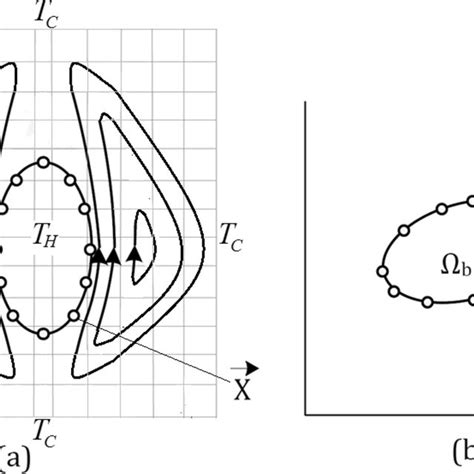 Computational Field And Grid Points Eulerian And Boundary Points Download Scientific Diagram