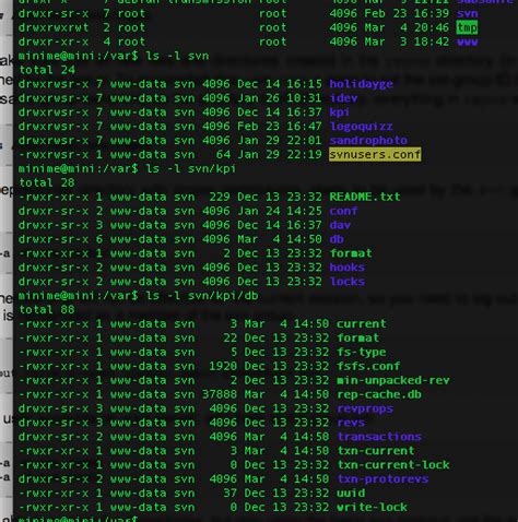 Svn Permissions Issue On Ubuntu Going Crazy Super User