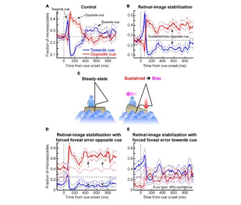 Disrupting Post Cue Microsaccade Direction Oscillations By Simply