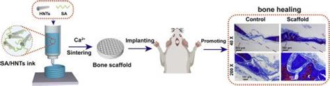 三维打印海藻酸钠粘土纳米管复合支架用于骨再生 Composites Science And Technology X Mol