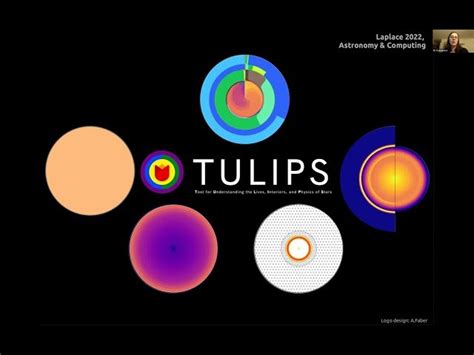 Free Video Visualizing Mesa Models With Tulips How To Python From