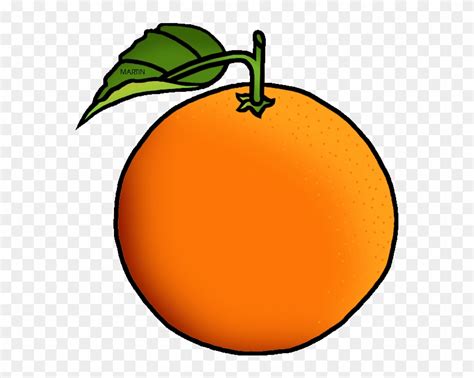 Fresh Orange Illustration Vibrant Citrus Clipart For Education