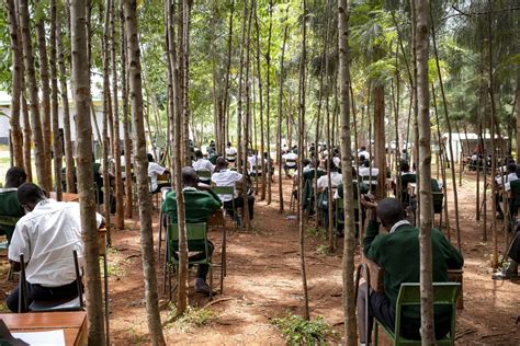 Launch Of Who Operational Framework For Monitoring Social Determinants