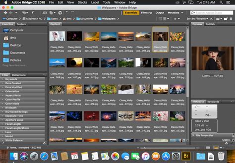 Adobe Bridge