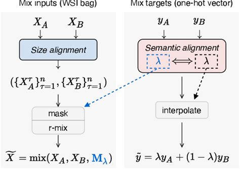 Figure 1 From Pseudo Bag Mixup Augmentation For Multiple Instance Learning Based Whole Slide