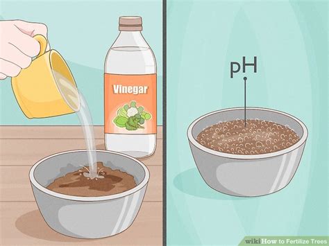 How To Fertilize Trees Steps With Pictures WikiHow