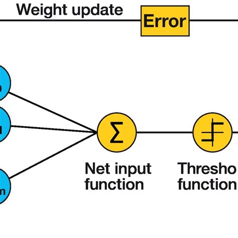 Perceptron Learning Rule Download Scientific Diagram