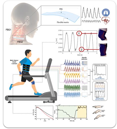 Wearable Sensors Ieee Italy Sensors Chapter