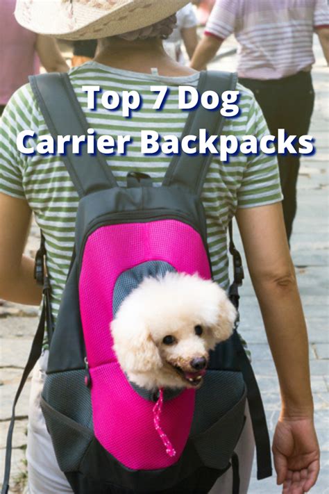 Where To Buy A Backpack Dog Carrier At Sandra Slavin Blog